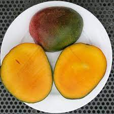 KENT MANGO VARIETY – Japur Store