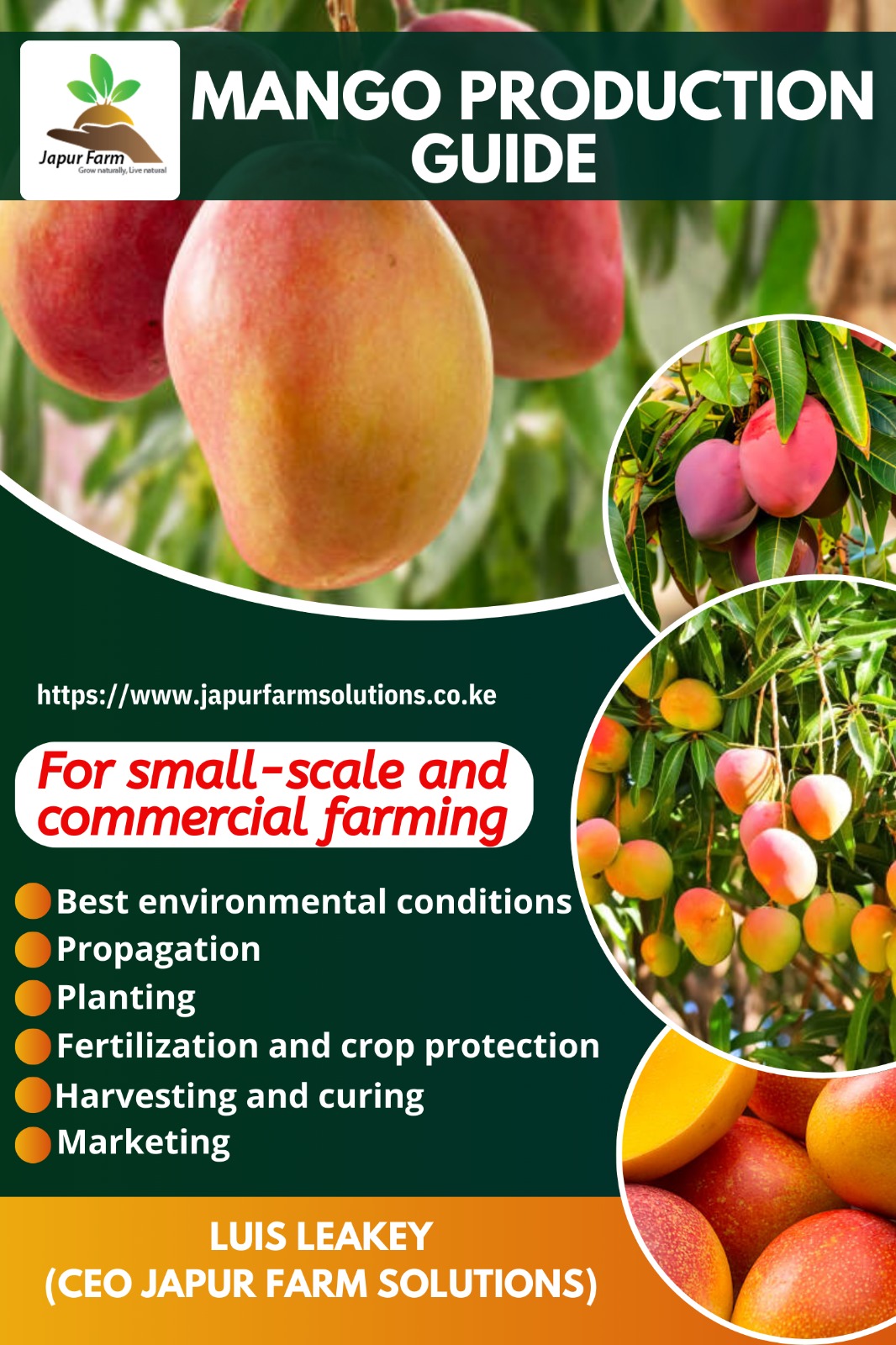 MANGO PRODUCTION GUIDE – Japur Store