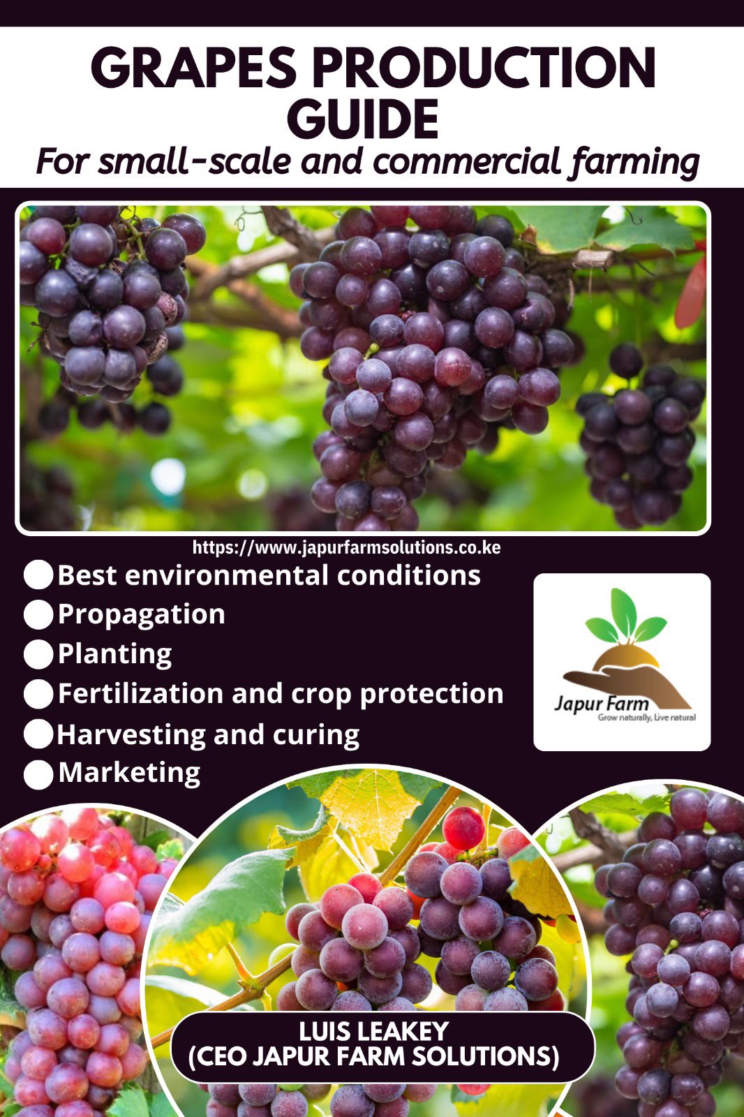 GRAPES FARMING GUIDE – Japur Store